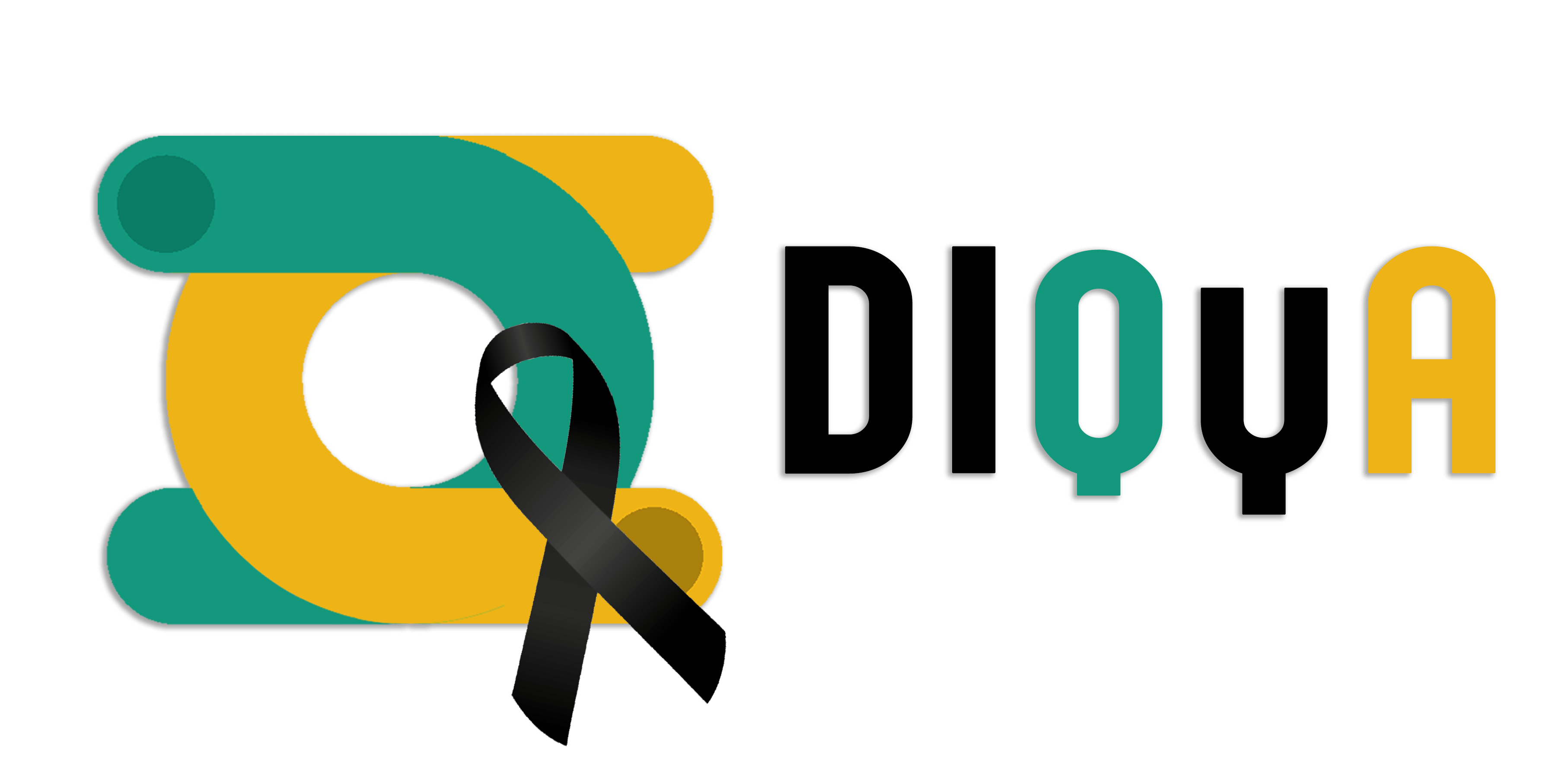 DIQyA :: Práctica Profesional Supervisada